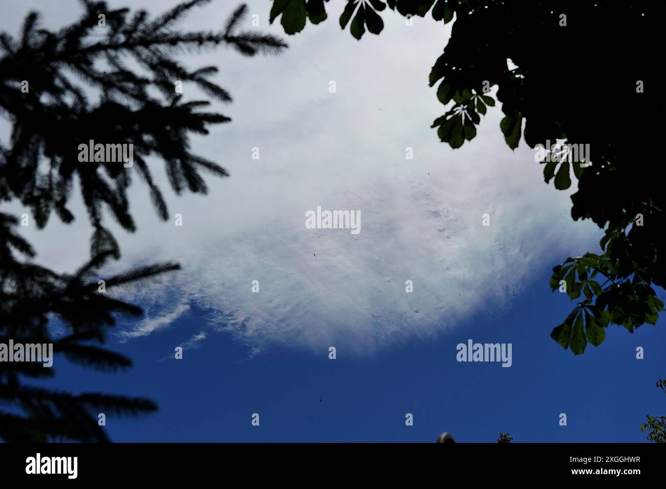 air, atmosphere, blue, climate, clouds, cumulus, sky, background, beat ...