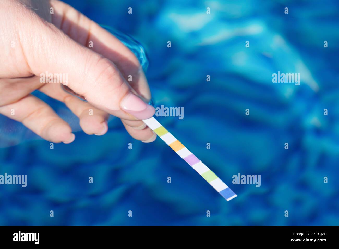 Testing the water quality in the pool with test strips Stock Photo - Alamy