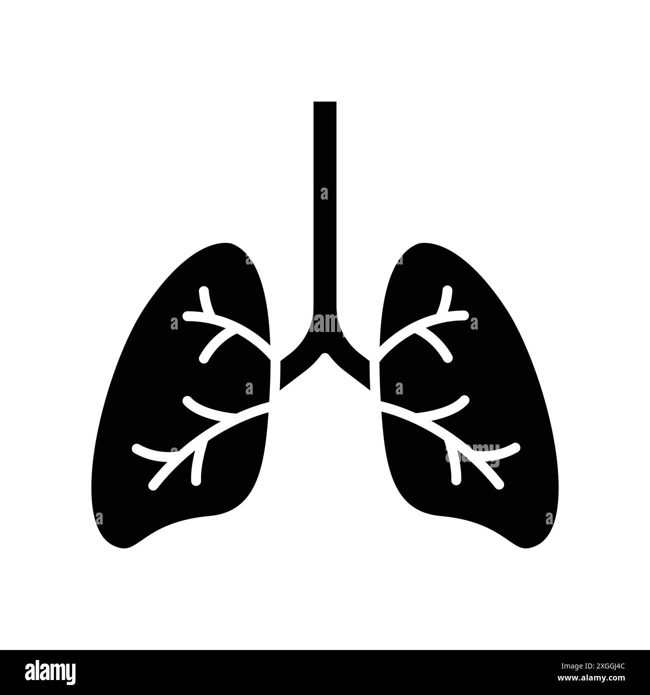 Human lungs icon vector vectors Black and White Stock Photos & Images ...