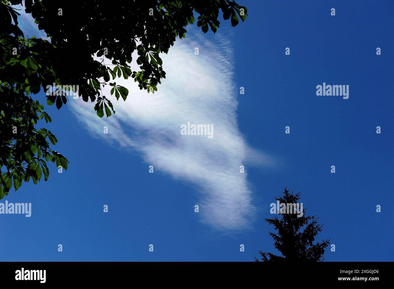 air, atmosphere, blue, climate, clouds, cumulus, sky, background, beat ...