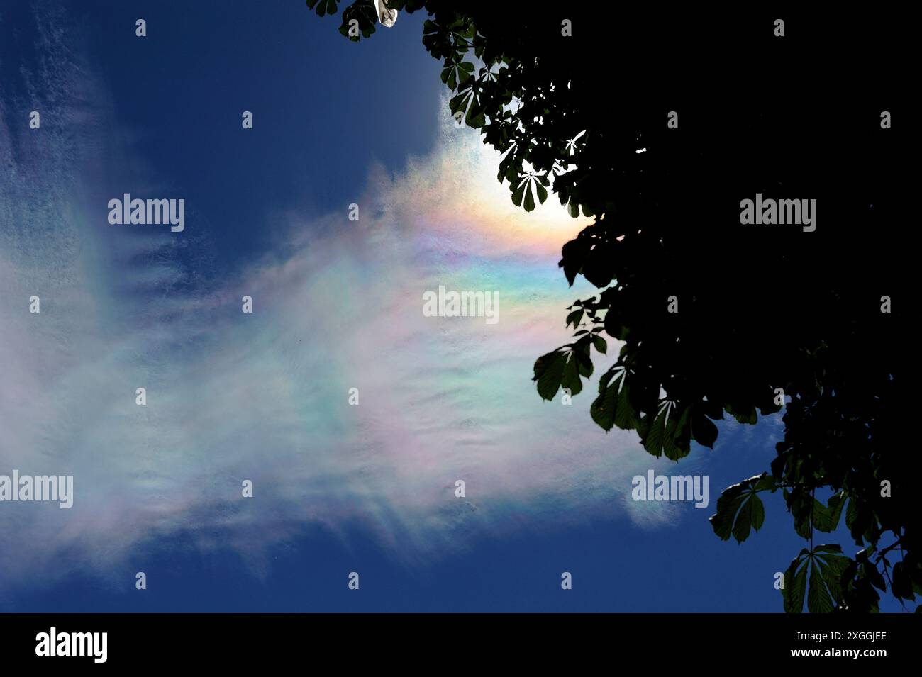 air, atmosphere, blue, climate, clouds, cumulus, sky, background, beat ...