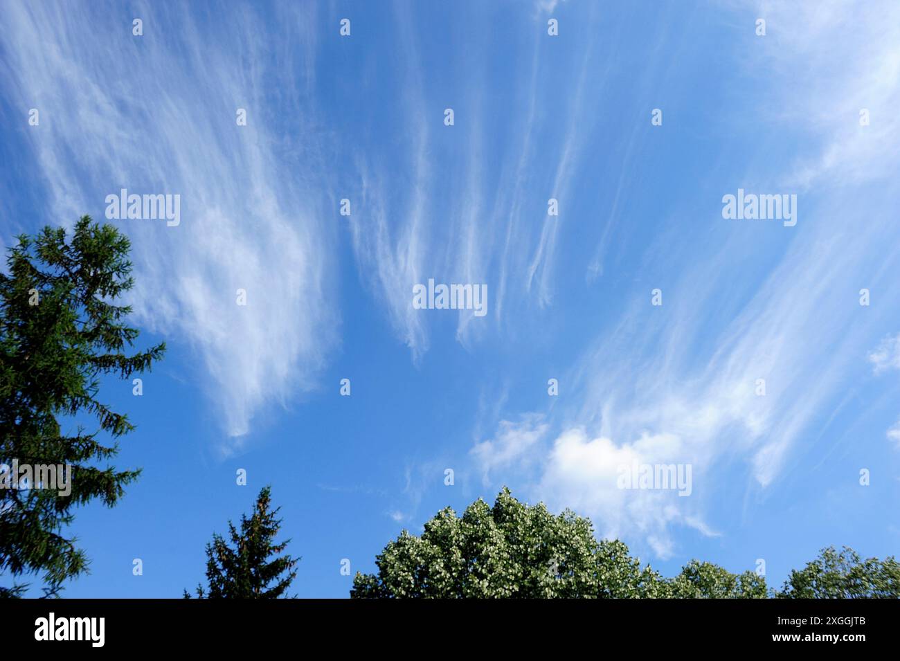 air, atmosphere, blue, climate, clouds, cumulus, sky, background, beat ...