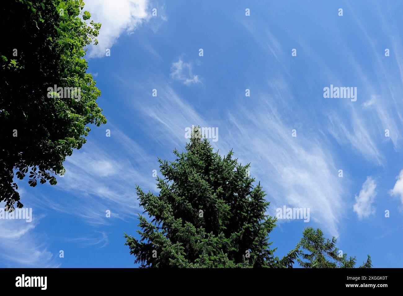 Spraying mass population hi-res stock photography and images - Alamy