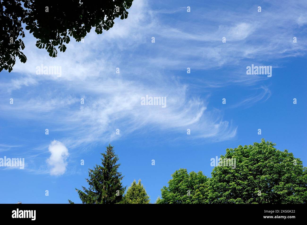 air, atmosphere, blue, climate, clouds, cumulus, sky, background, beat ...