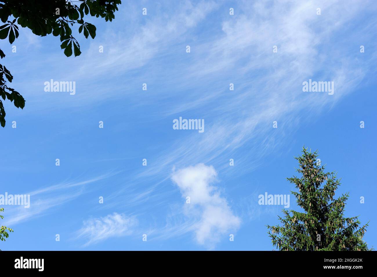 air, atmosphere, blue, climate, clouds, cumulus, sky, background, beat ...