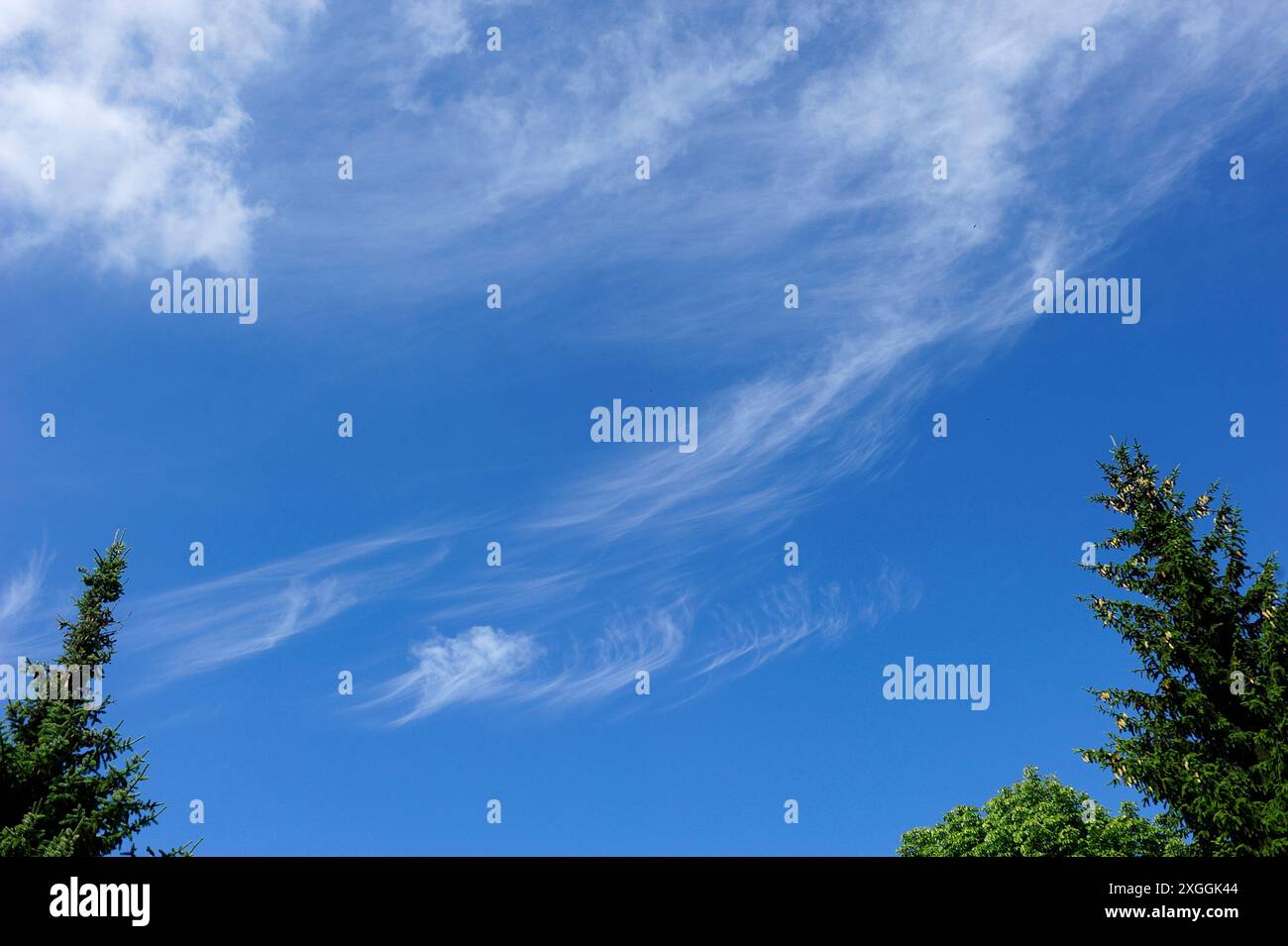 air, atmosphere, blue, climate, clouds, cumulus, sky, background, beat ...