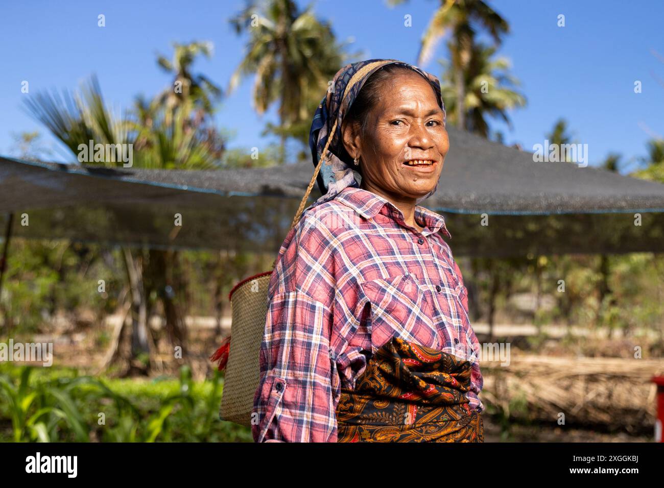 Vegetable farmer in her garden, Atauro Island, Timor-Leste Stock Photo ...