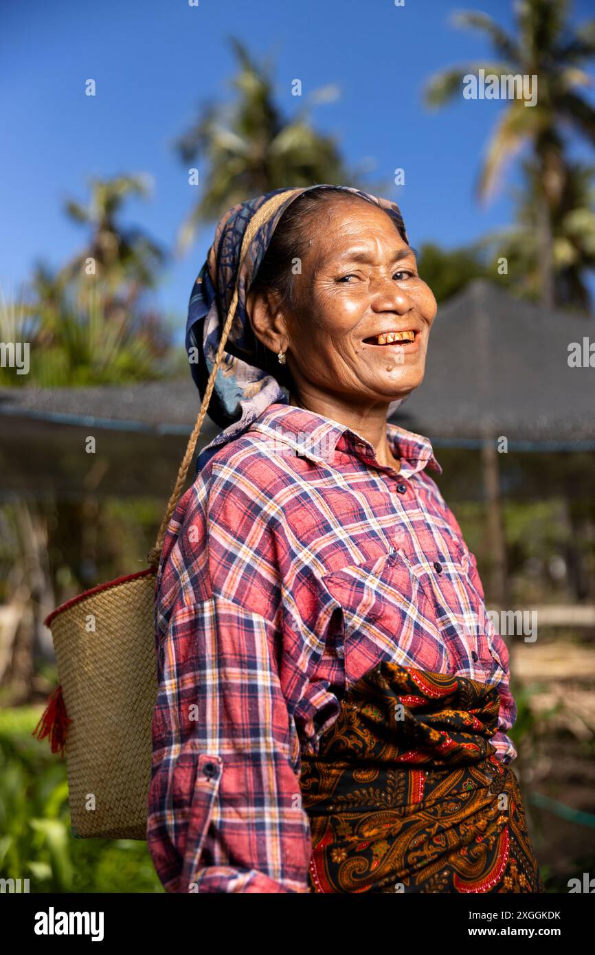 Vegetable farmer in her garden, Atauro Island, Timor-Leste Stock Photo ...