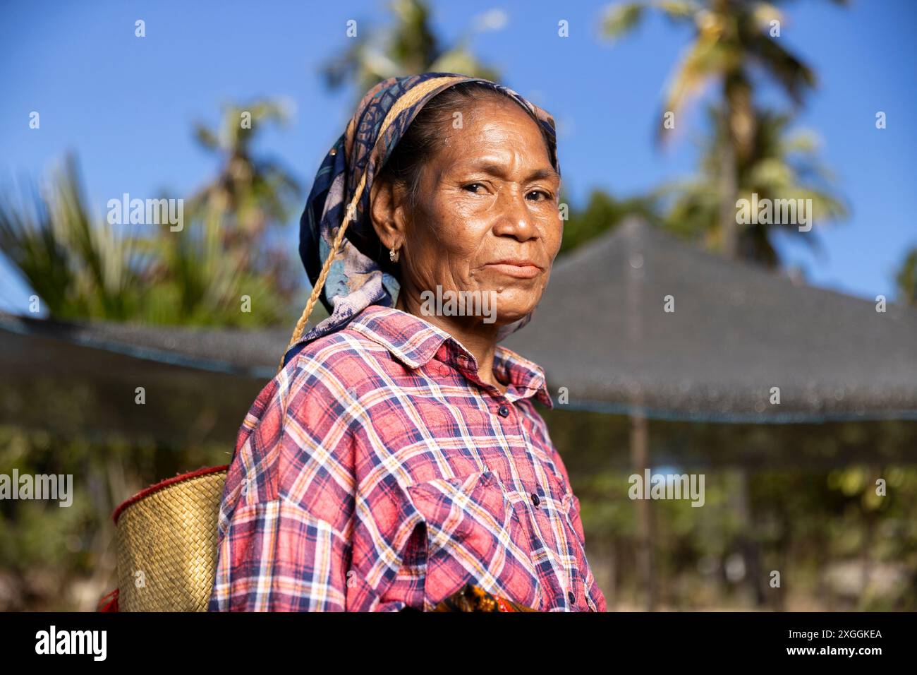 Vegetable farmer in her garden, Atauro Island, Timor-Leste Stock Photo ...