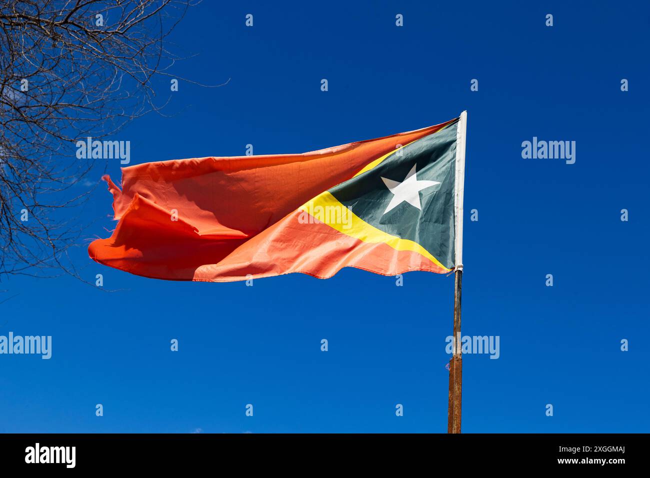 National flag of Timor-Leste Stock Photo - Alamy