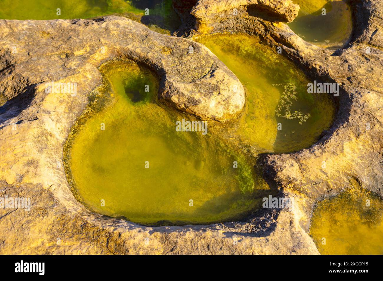 Small shallow pools of water on a rocky surface. Water is a murky green ...