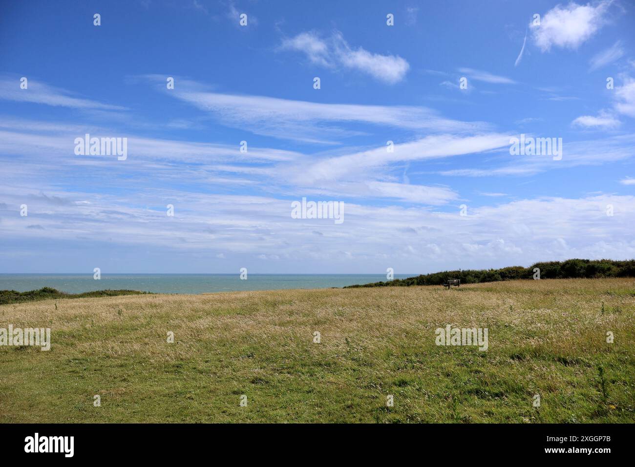 Grass field overlooking the ocean with a blue sky, England Stock Photo ...