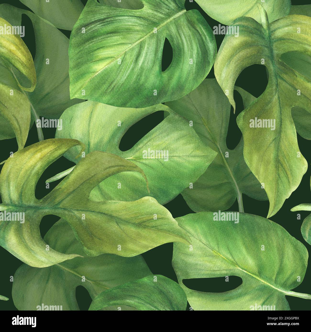 Tropical leaves watercolor seamless pattern. Monstera palm green leaf ...