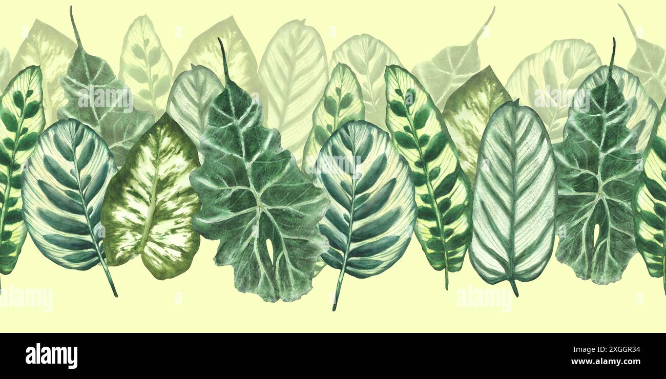 Tropical leaves watercolor seamless border. Jungle plants. Summer green ...