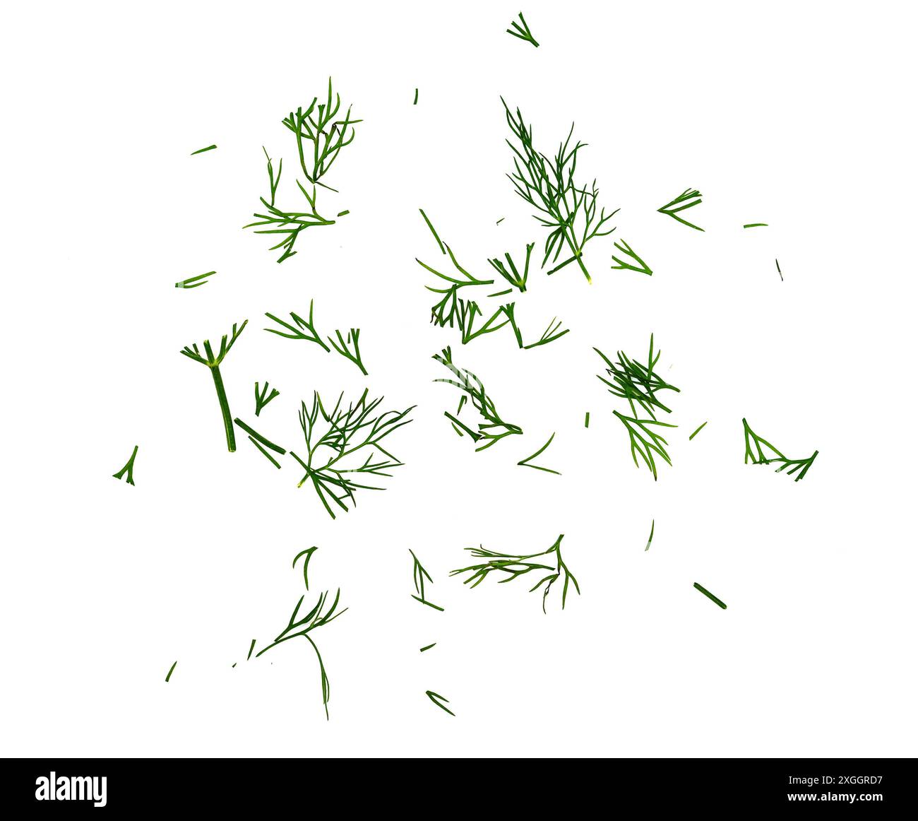 Spice fresh chopped dill isolated. Pile of fresh green chopped dill ...