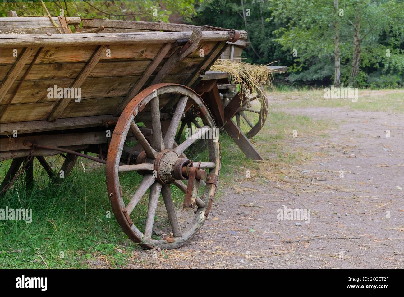 Wooden wheel. Antique wooden cart. Rustic transport in nature landscape ...