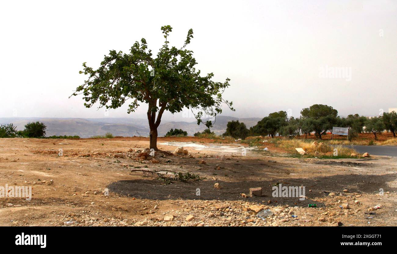 House of the mulberry tree hi-res stock photography and images - Alamy