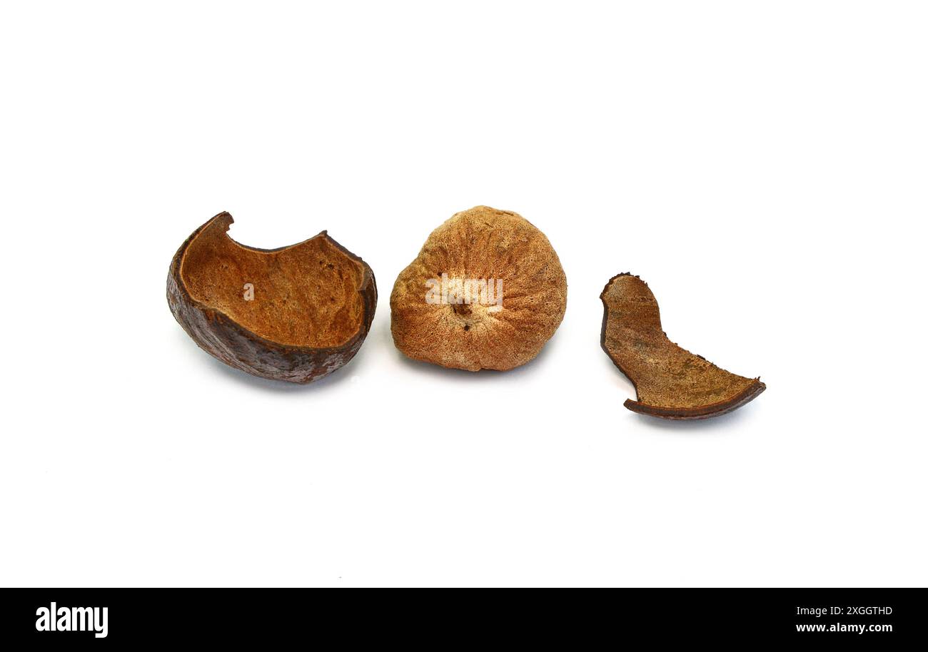 Nutmeg in Nutmeg Shell on white Background Stock Photo - Alamy