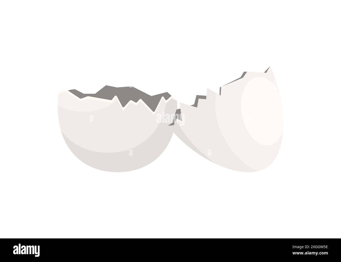 White egg split in half, open empty chicken egg after breaking vector ...