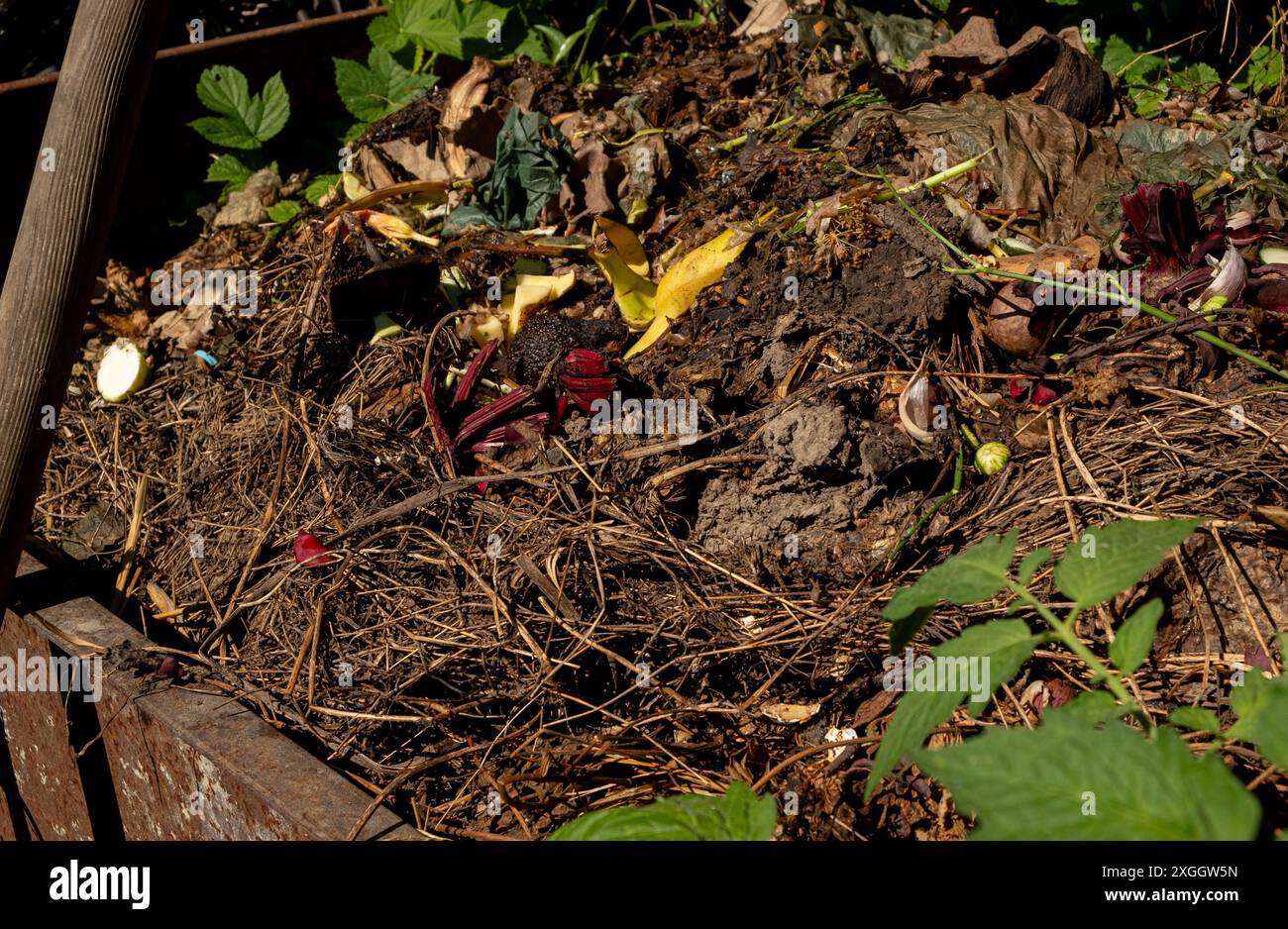 Photo of a compost heap containing various organic materials in various ...