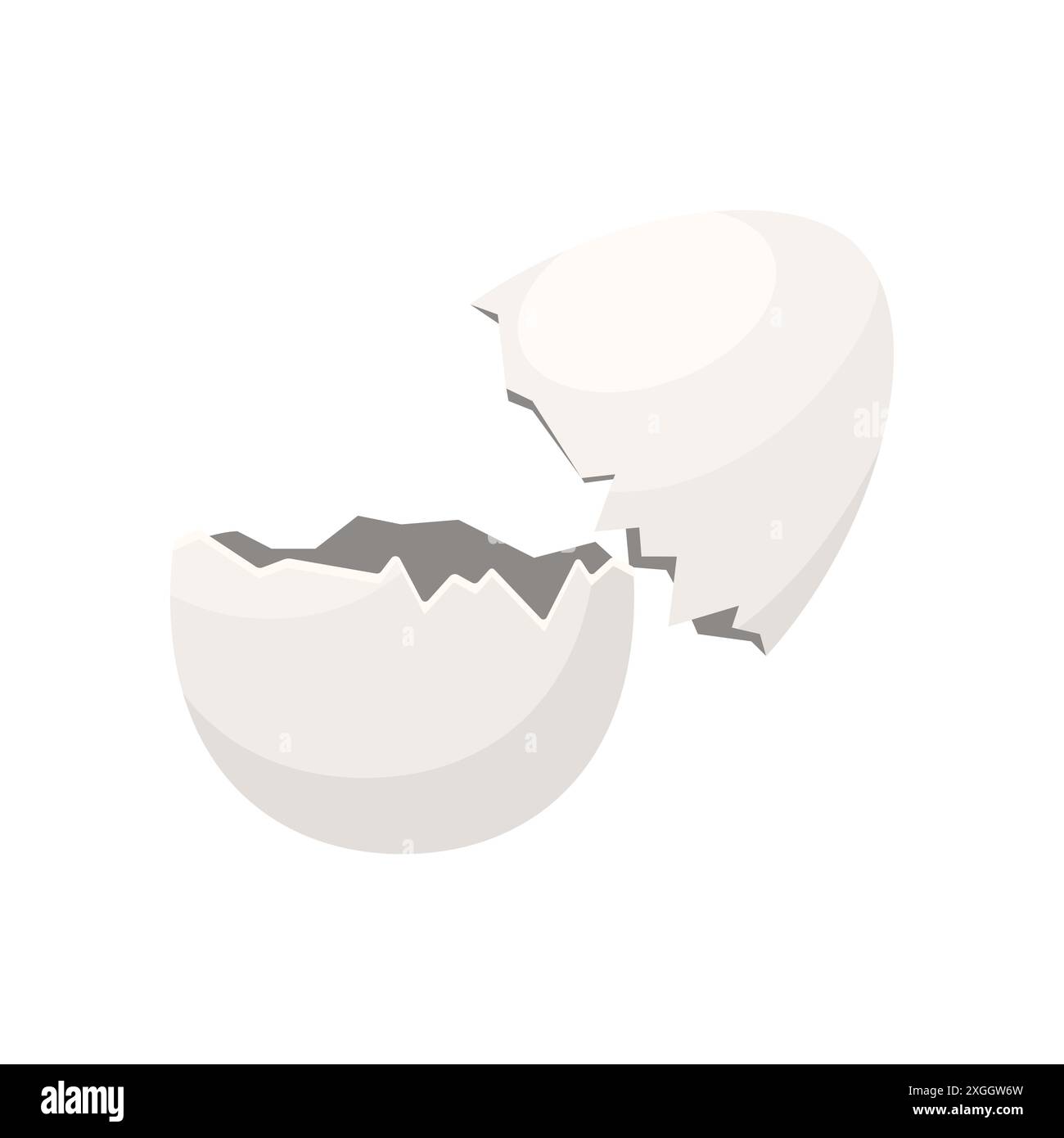 Two halves of eggshell when opening white egg, empty fragile shell ...