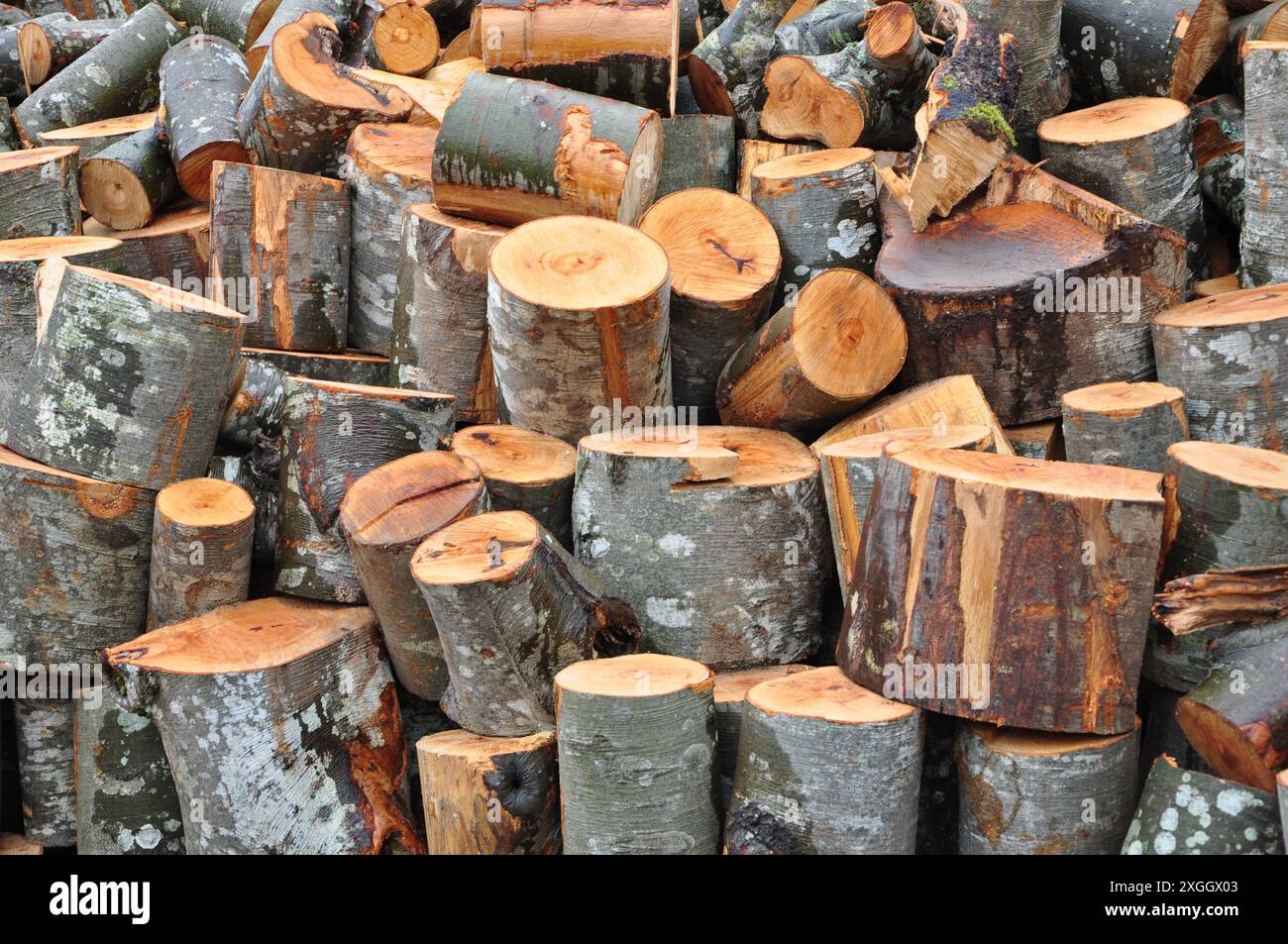 Log lengths hi-res stock photography and images - Alamy