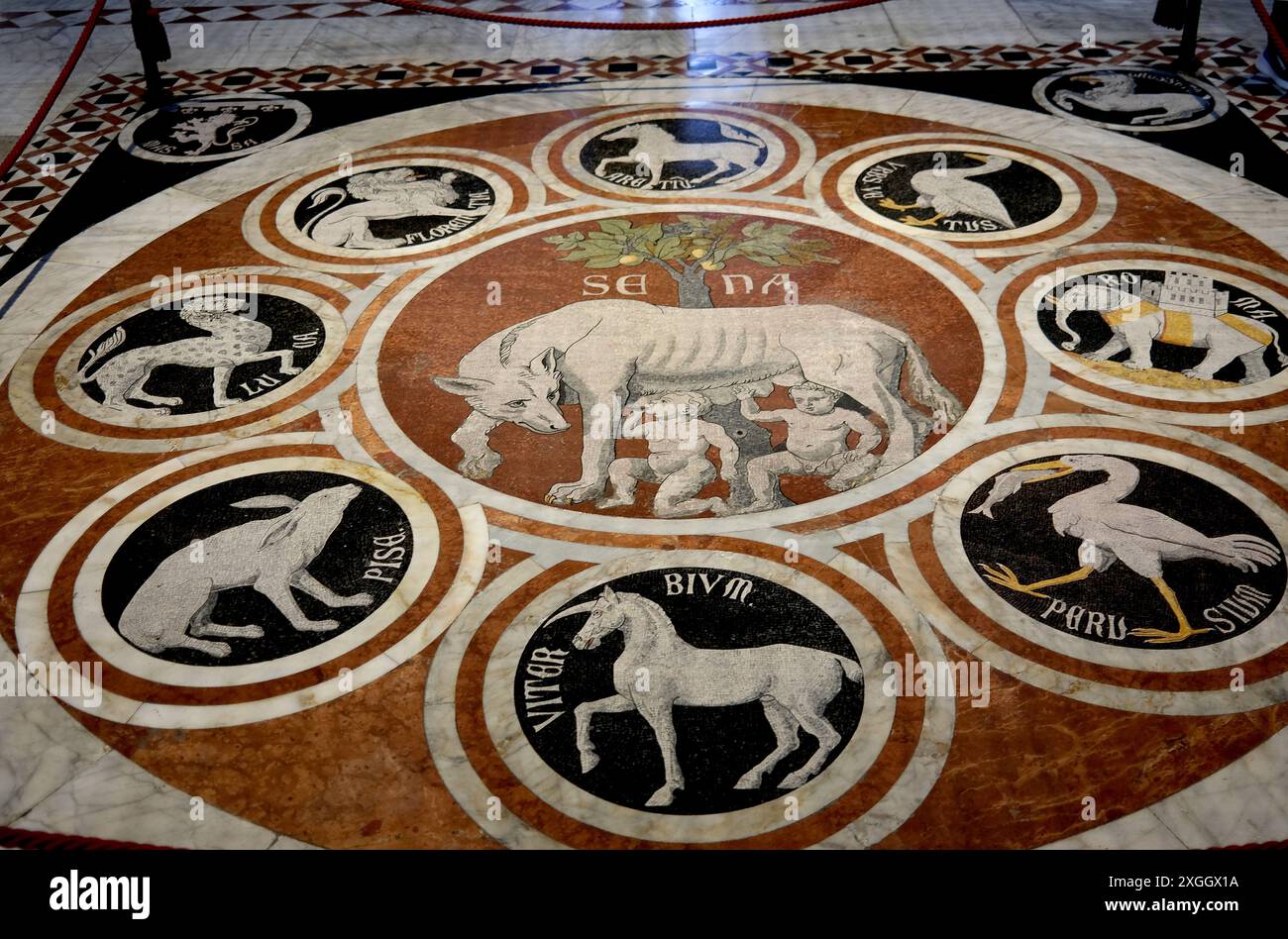 Siena Cathedral in Tuscany, Italy. Mosaic floor depicting the legend of ...