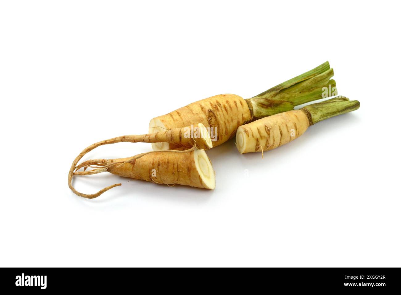 Pastinaca sativa parsnip plant Cut Out Stock Images & Pictures - Alamy