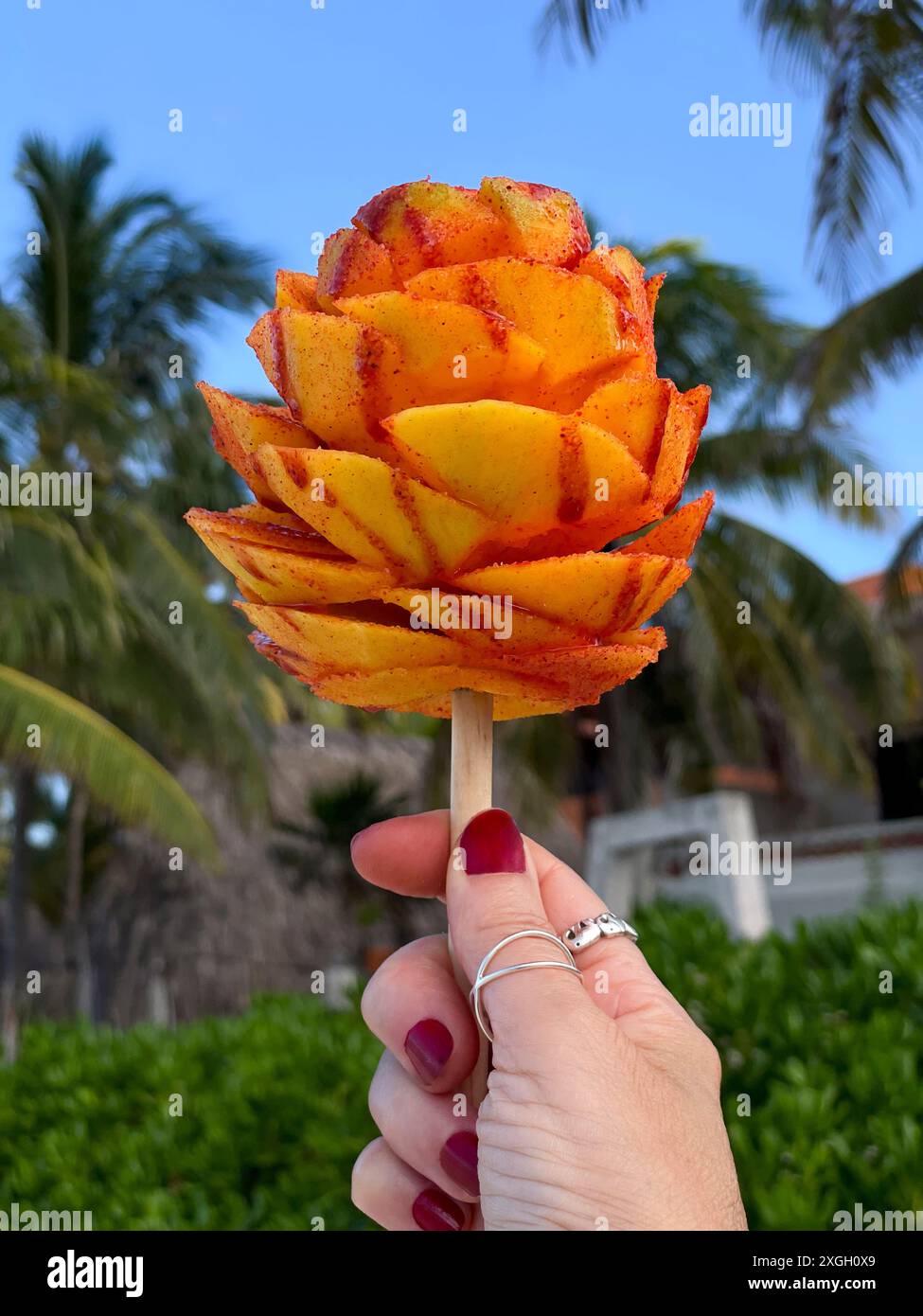 Mango flower hi-res stock photography and images - Alamy