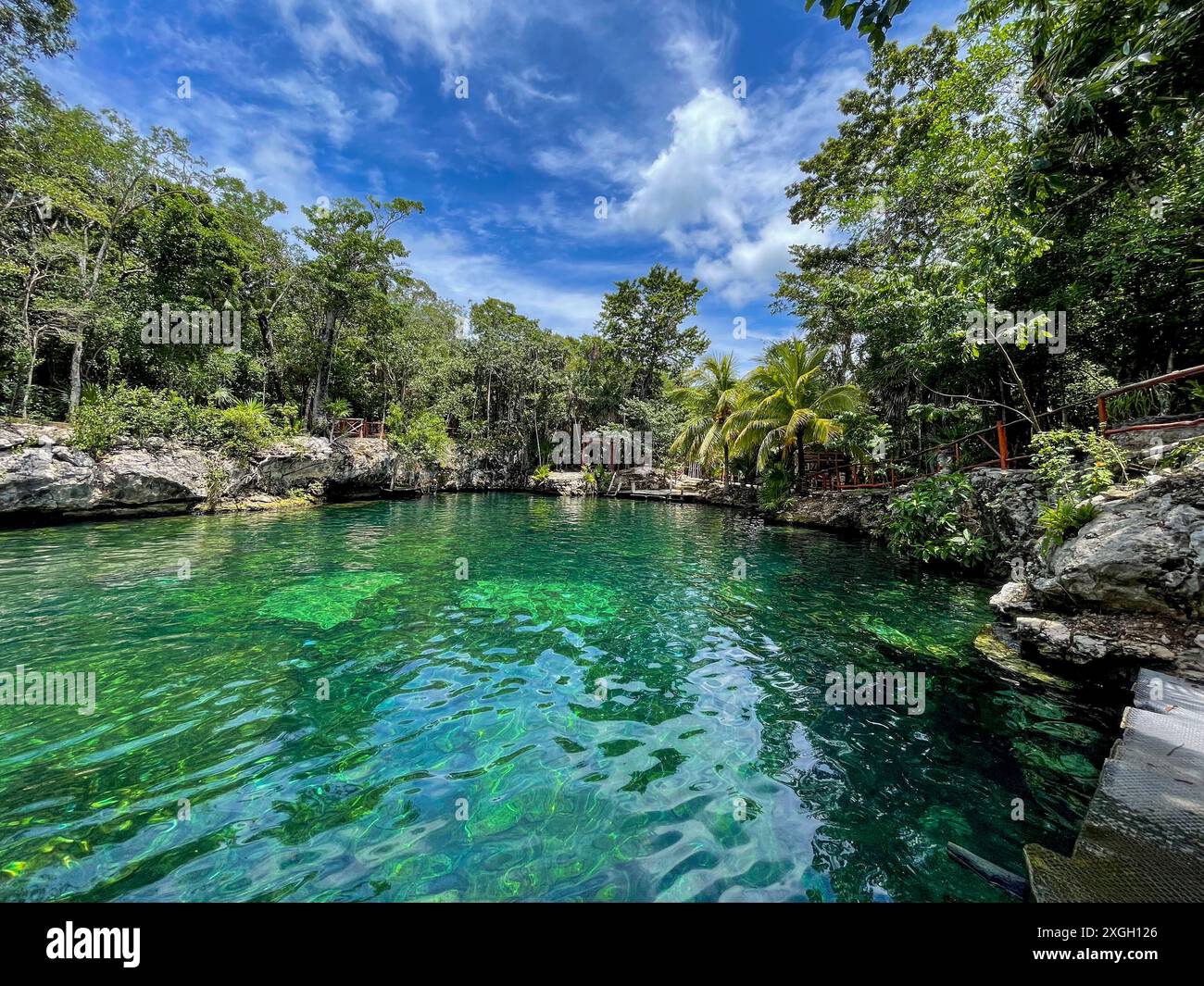 Cenote Casa Tortuga, caves and pools near Tulum and Playa Del Carmen ...