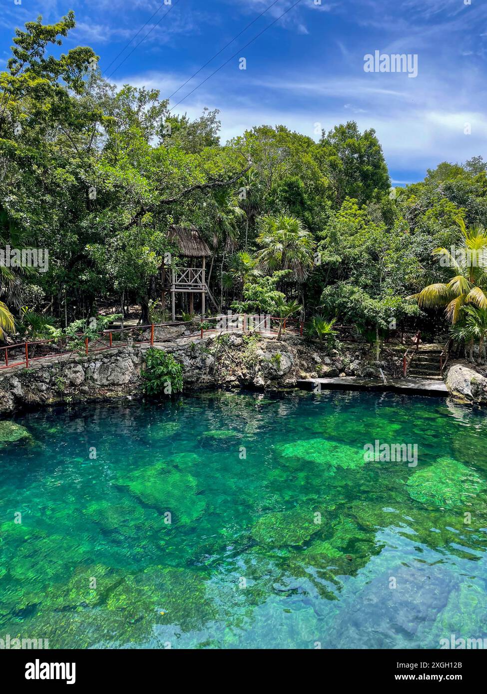 Cenote Casa Tortuga, caves and pools near Tulum and Playa Del Carmen ...