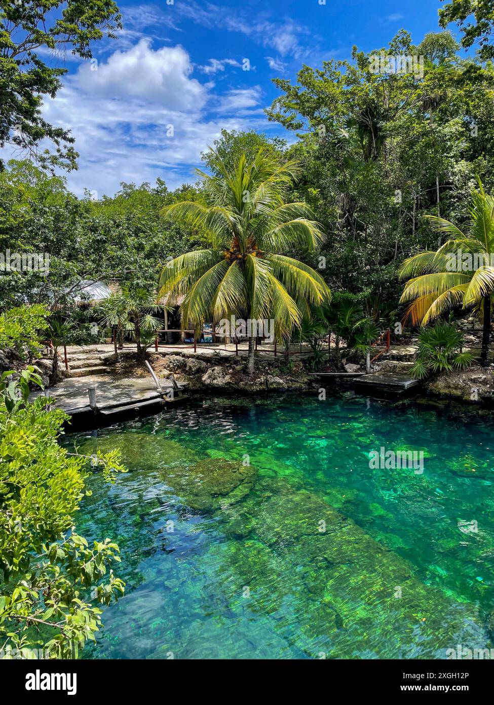 Cenote Casa Tortuga, caves and pools near Tulum and Playa Del Carmen ...