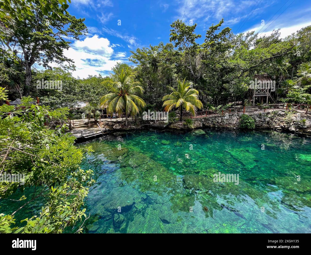 Cenote Casa Tortuga, caves and pools near Tulum and Playa Del Carmen ...