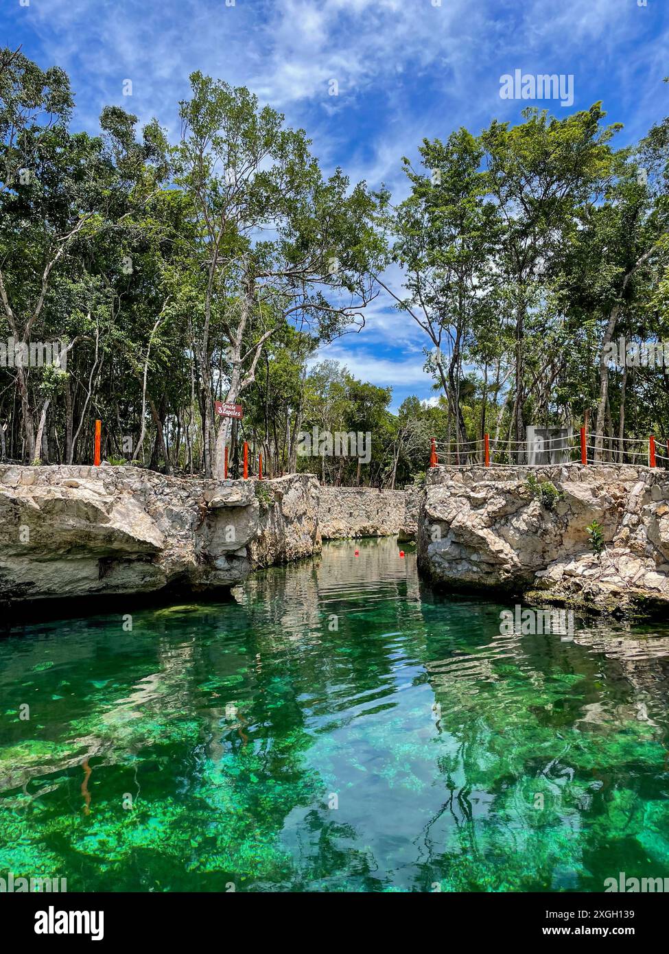 Cenote Casa Tortuga, caves and pools near Tulum and Playa Del Carmen ...