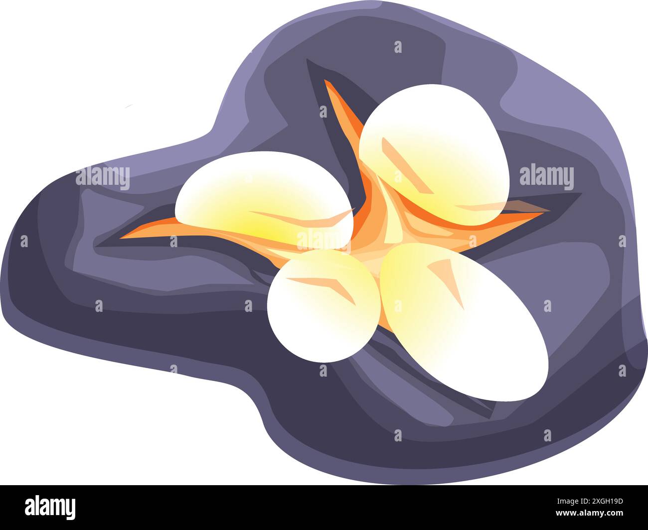 Cartoon drawing of a half eggplant showing its pale yellow seeds Stock ...
