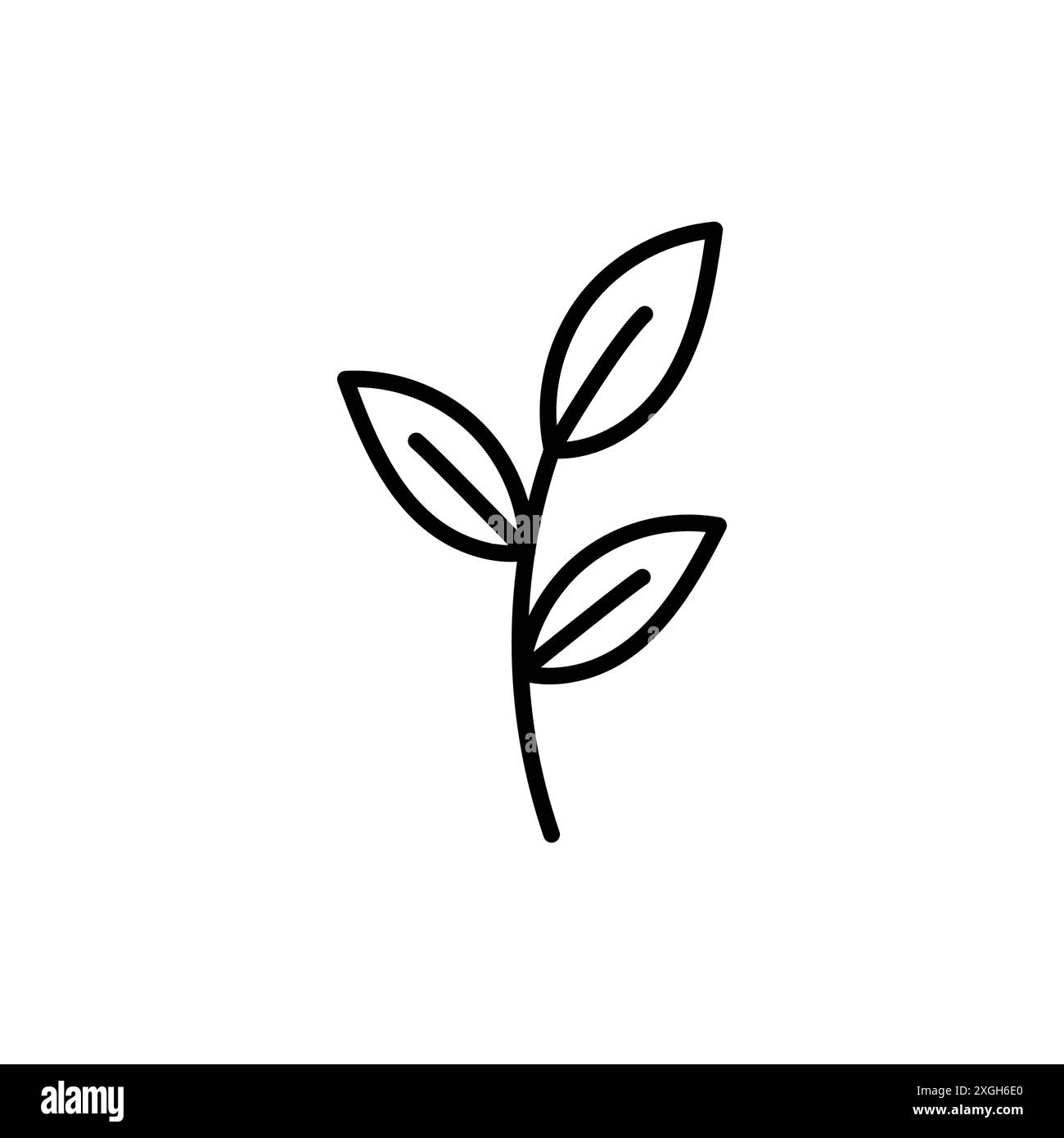 Veggie collection Black and White Stock Photos & Images - Alamy