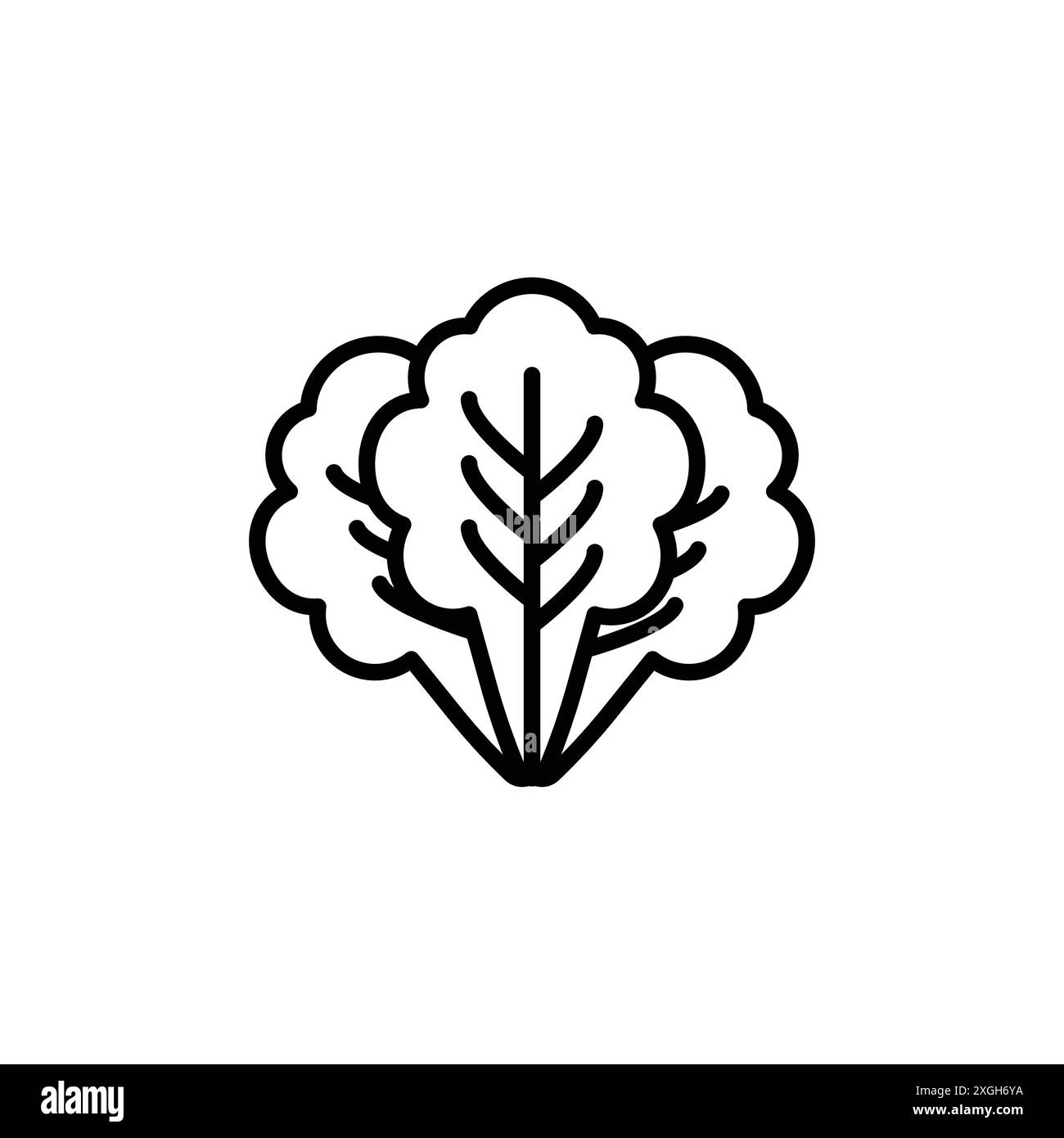 Lettuce icon vector logo set collection or bundle pack group Stock ...