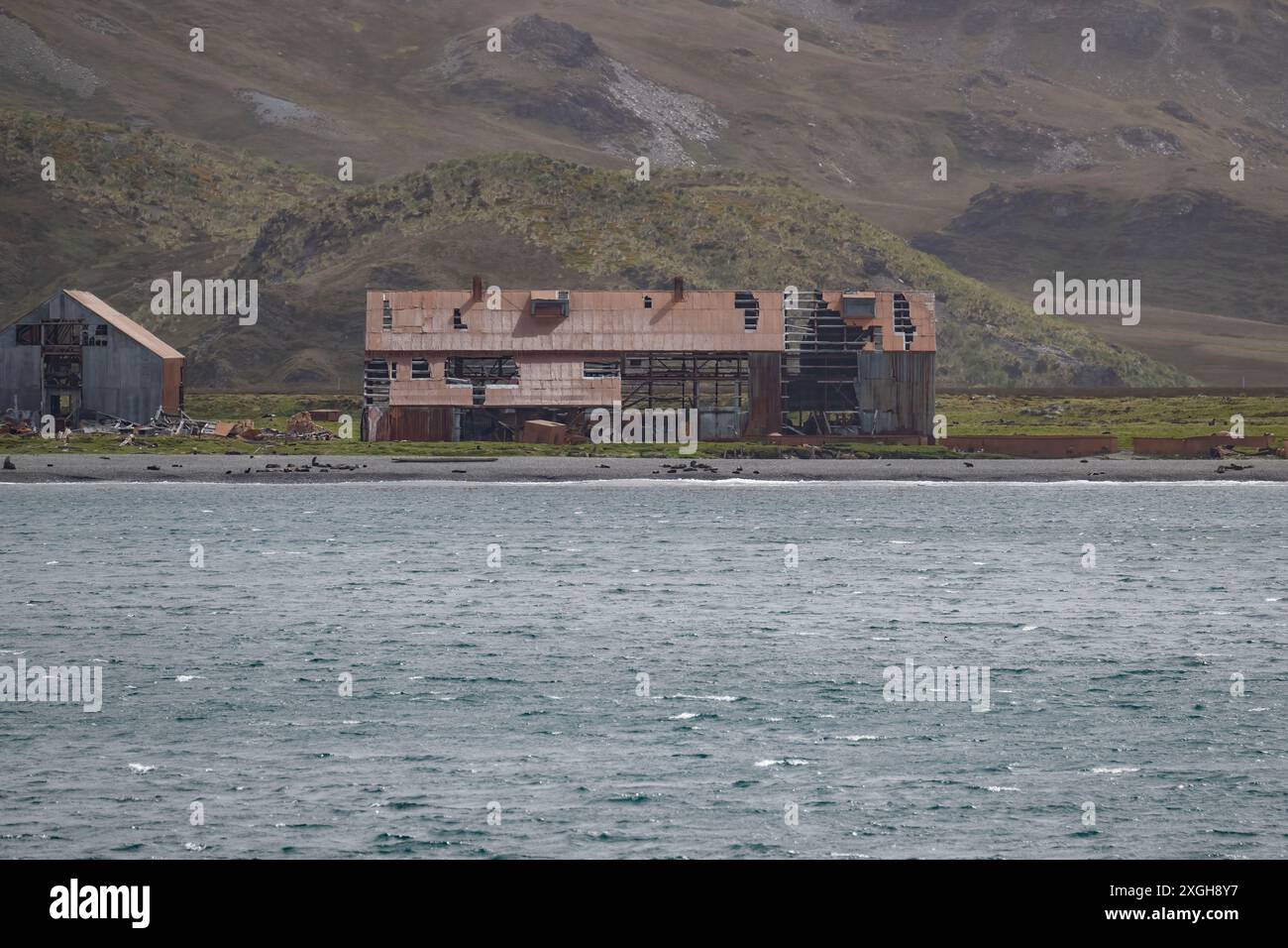 Stromness Bay deserted whaling station, South Georgia Stock Photo - Alamy