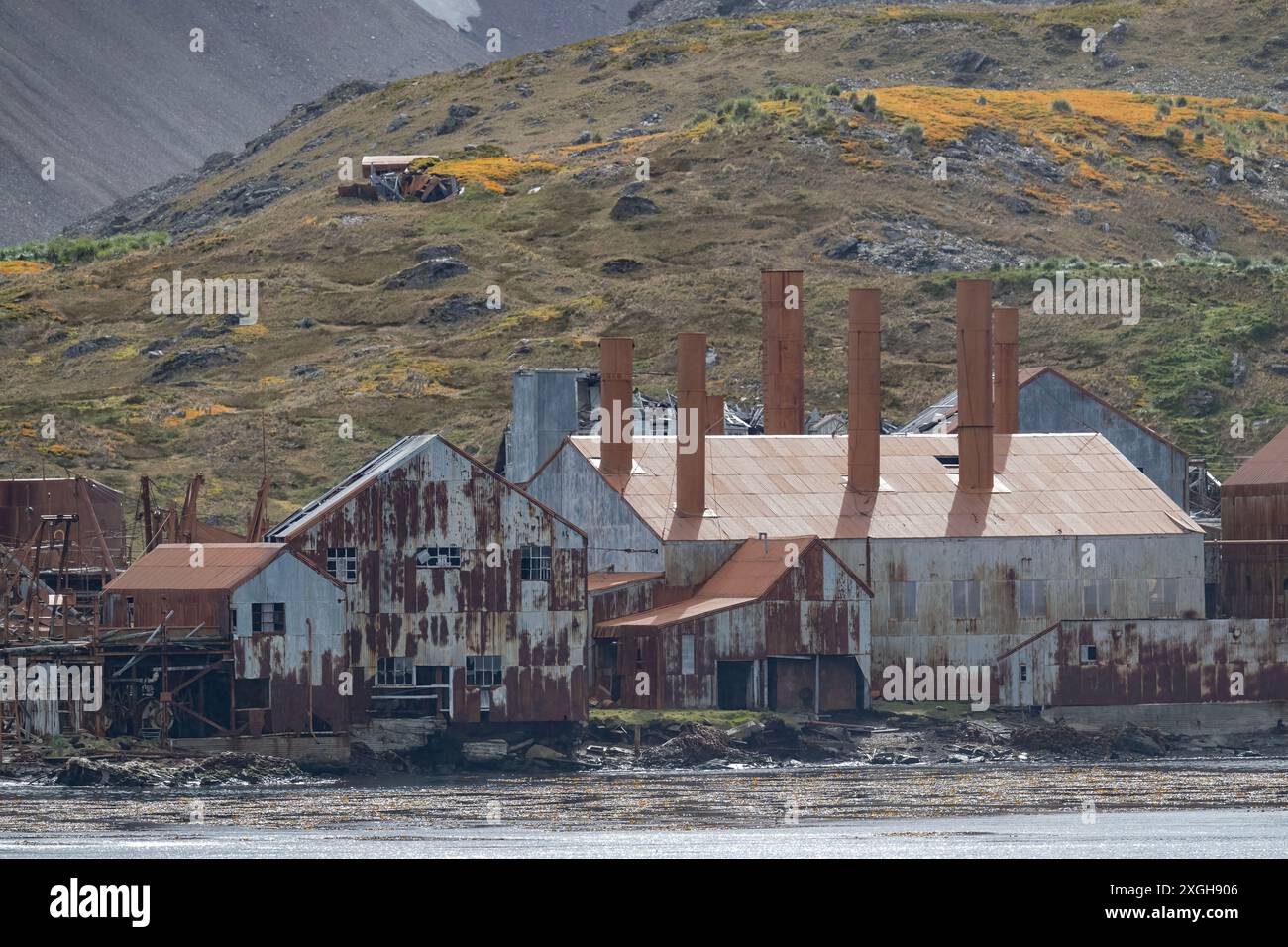 Leith harbour deserted whaling hi-res stock photography and images - Alamy