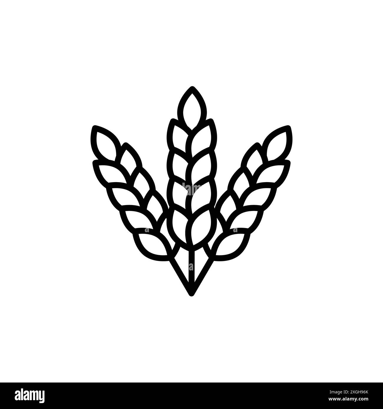 Wheat icon vector logo set collection or bundle pack group Stock Vector ...
