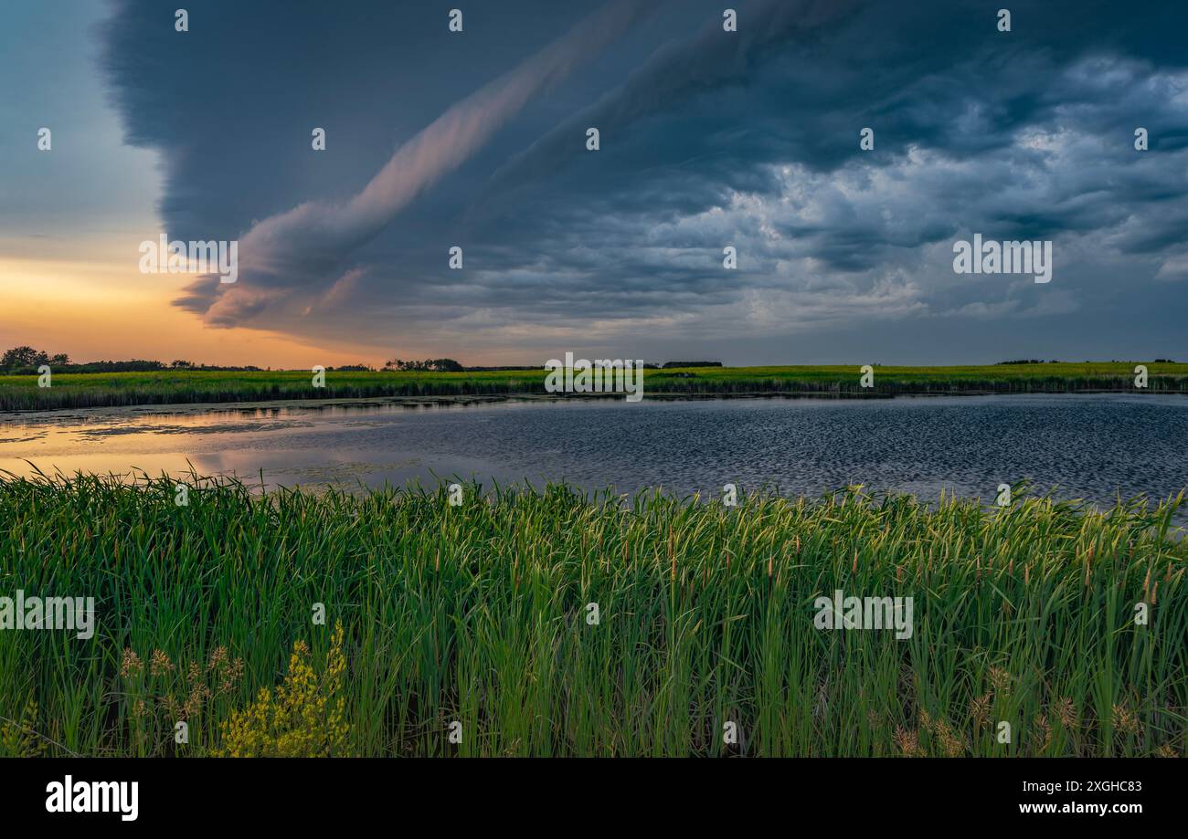 Sun setting over a prairie pond and cattails near Yorkton, Saskatchewan ...