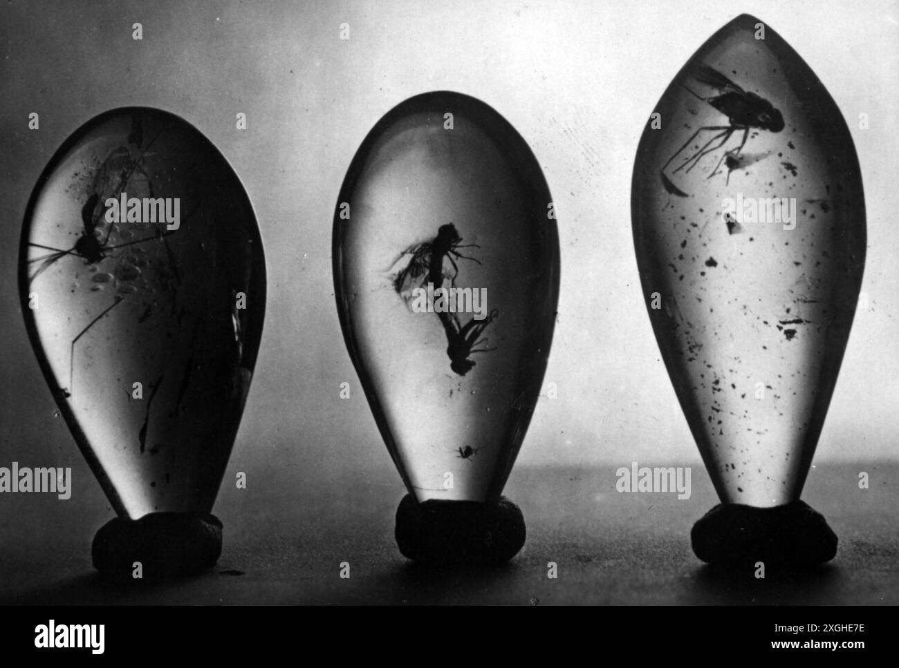 Koenigsberg 1930s hi-res stock photography and images - Alamy