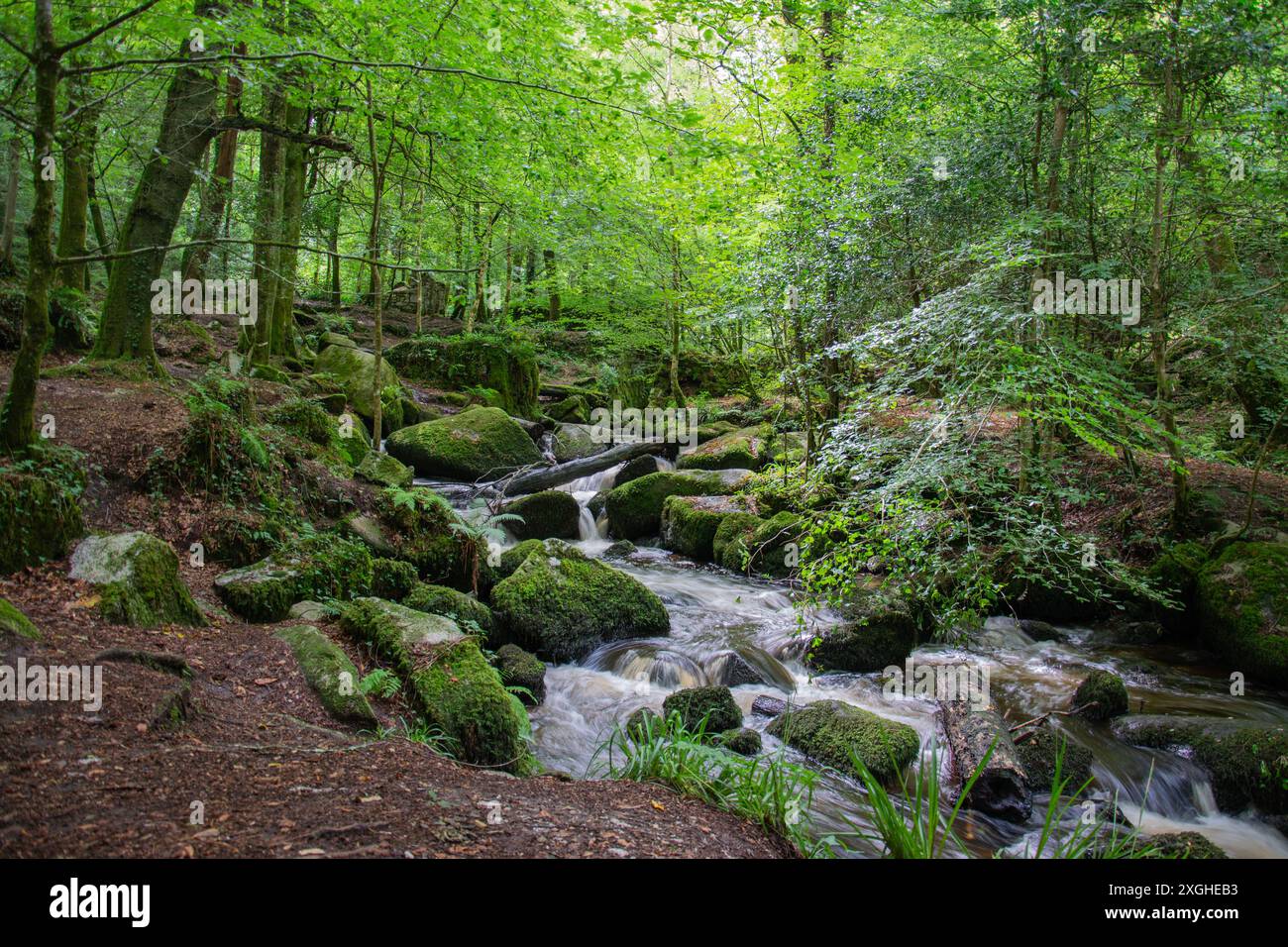 Kennall Vale, Cornwall, England, UK Stock Photo - Alamy