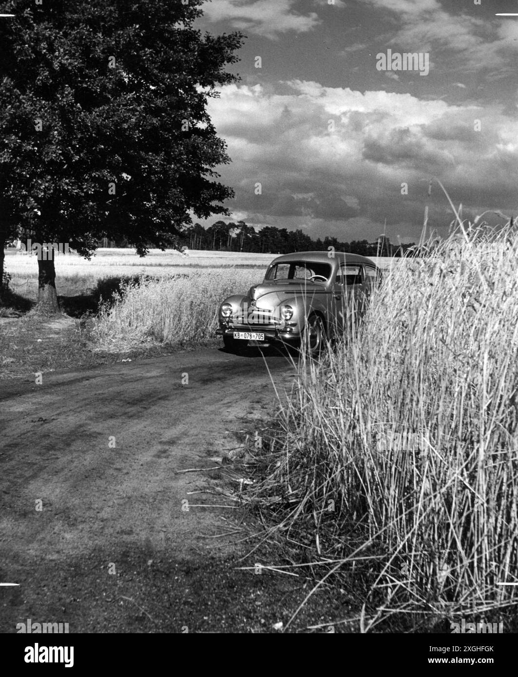 Car transportation in road Black and White Stock Photos & Images - Alamy