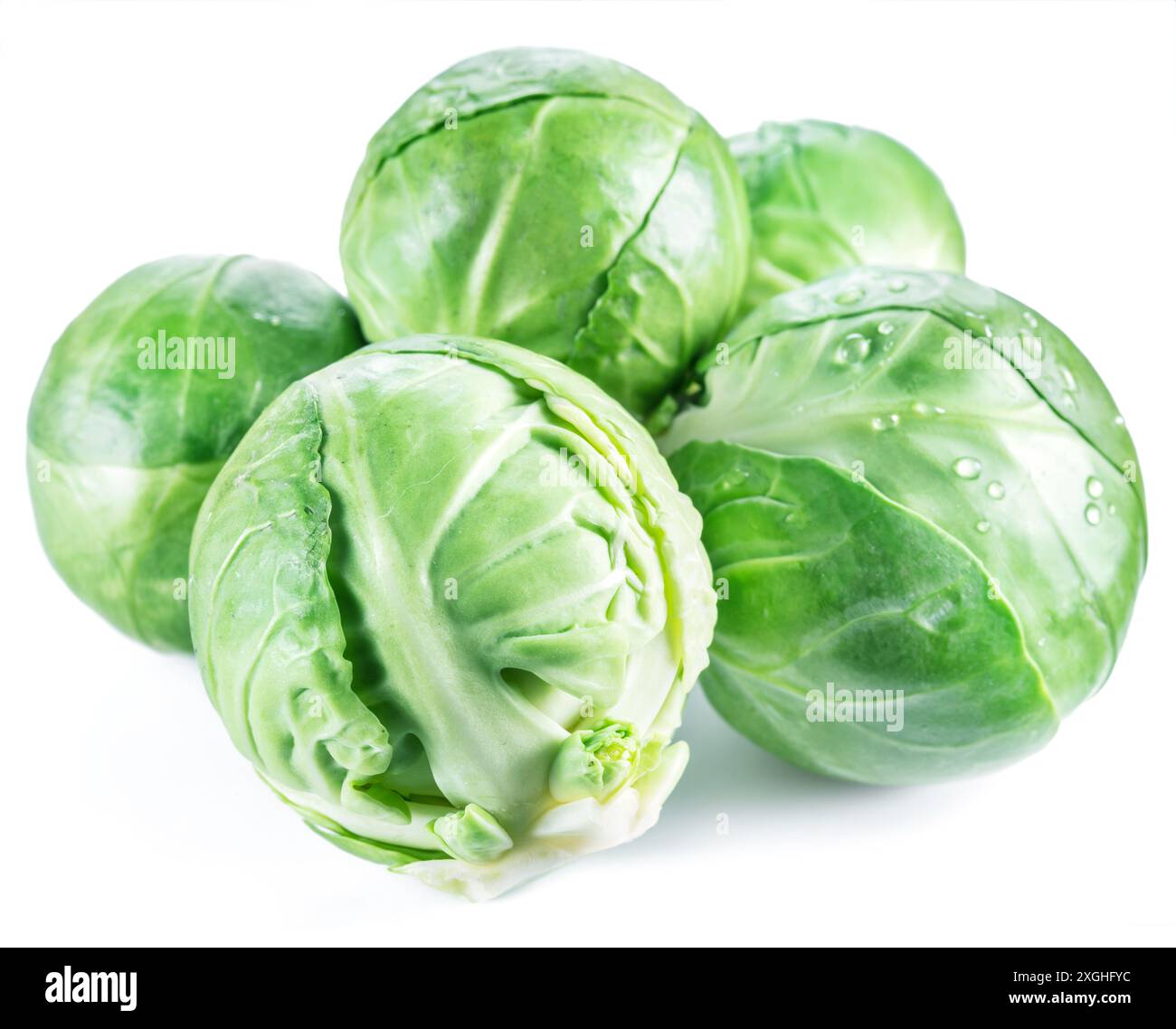 Miniature cabbages of brussels sprout isolated on white background ...
