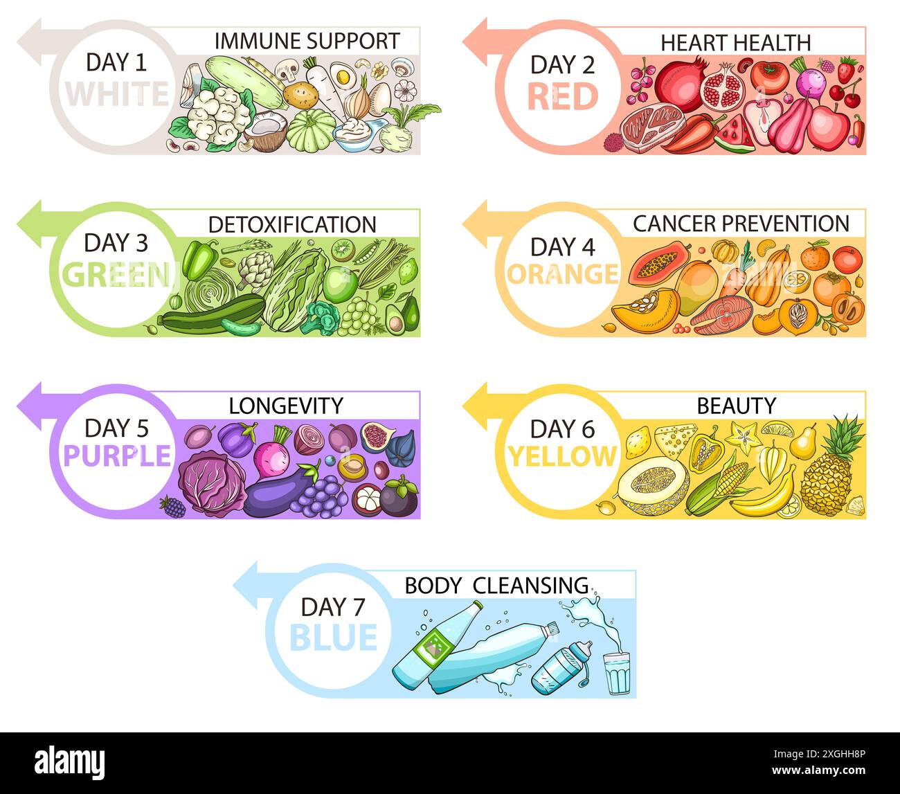 Healthy color diet infographics. A daily diet nutrition plan schedule ...