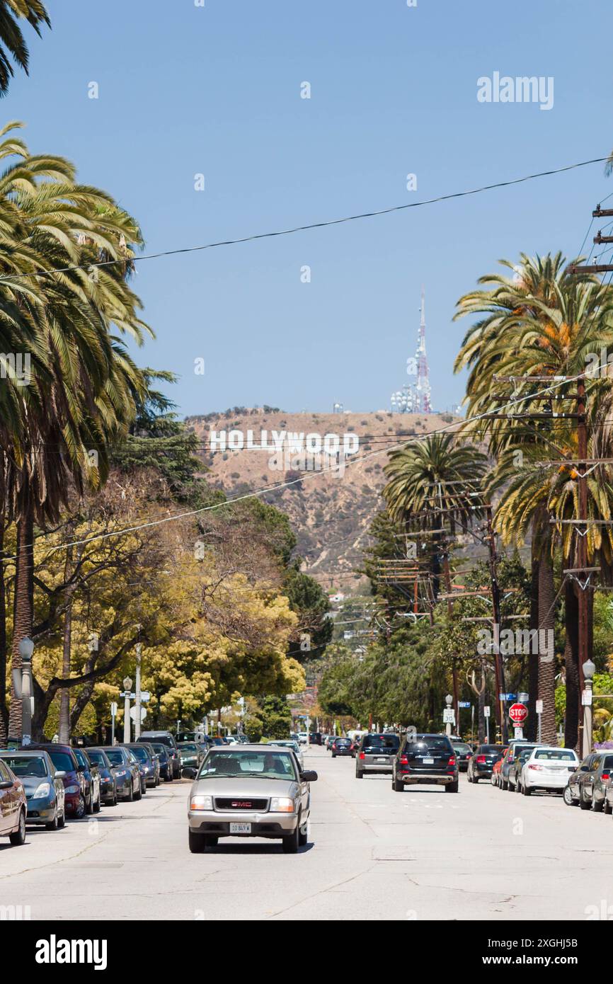 Line of Palm Trees Leading to the Hollywood Sign in LA California Stock ...