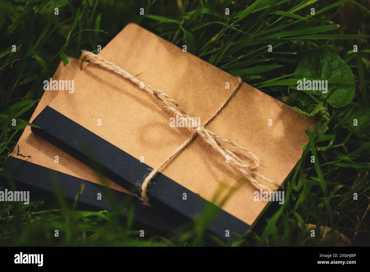 Kraft vintage natural simple brown cardboard notebooks lie on green ...