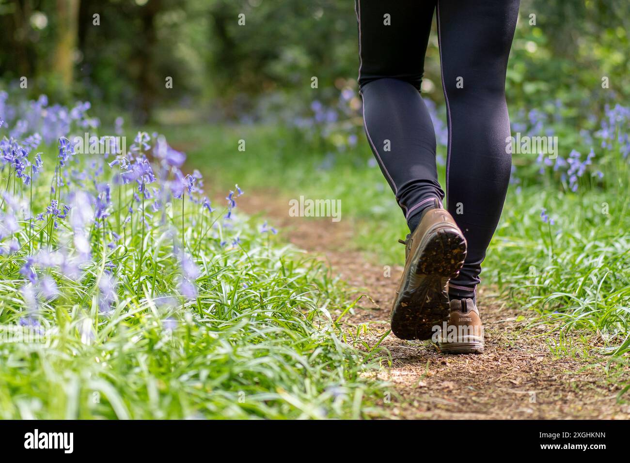 Close up rear view of a woman's lower legs walking through a bluebell ...
