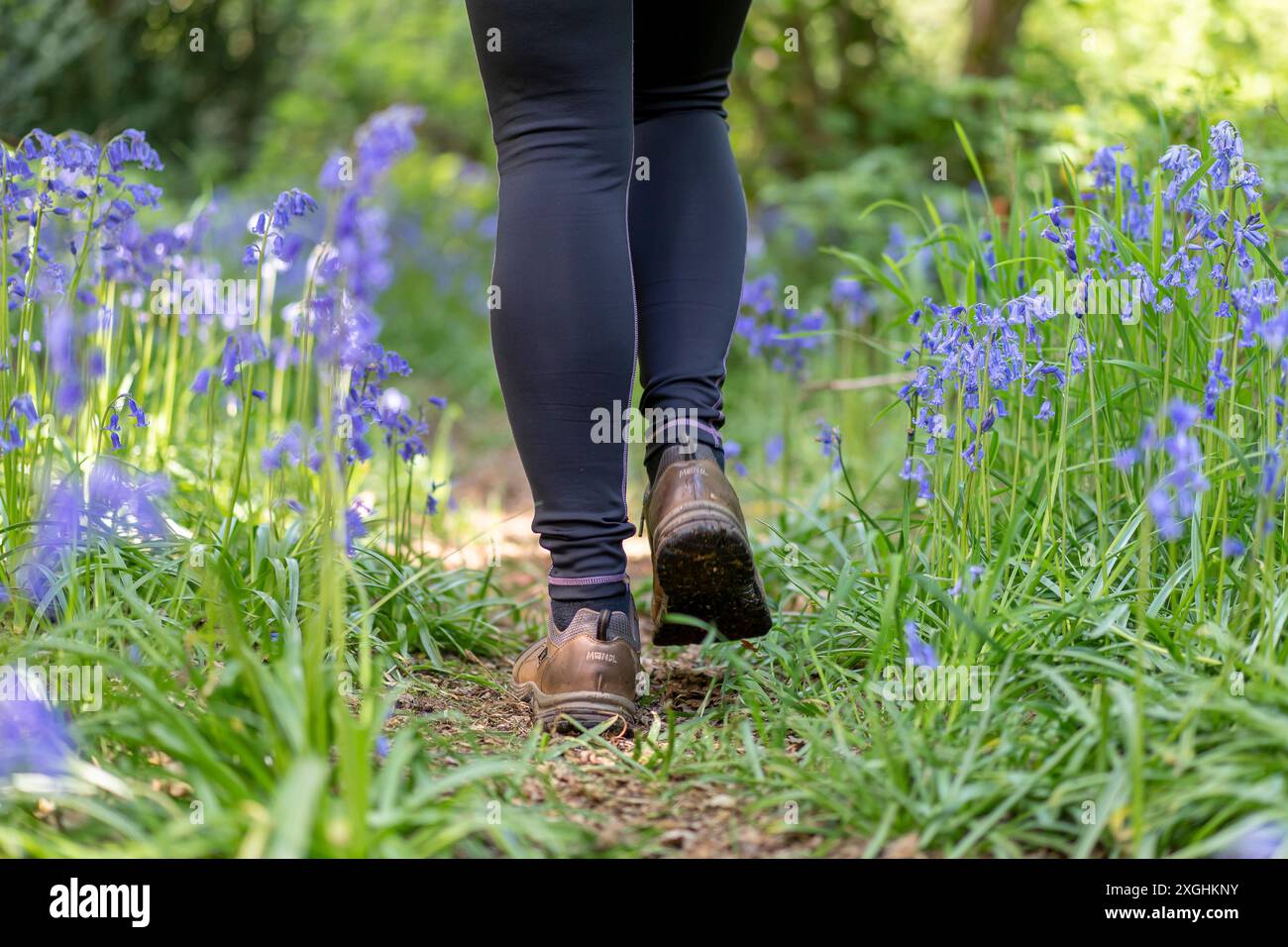 Woman's legs and rear view hi-res stock photography and images - Alamy